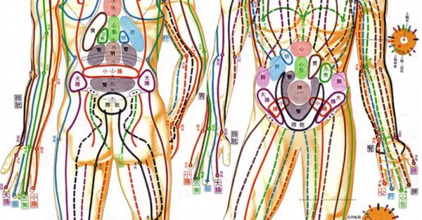 La filosofia della medicina cinese: i meridiani energetici - CSTM